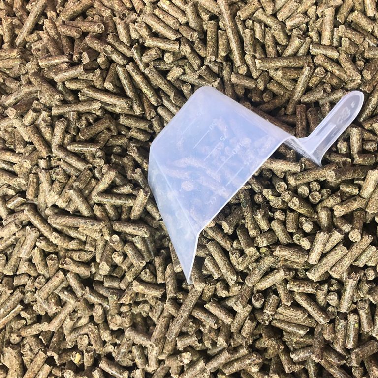 Farrier’s Magic PLUS Hoof Horse Supplement - Farrier's Magic